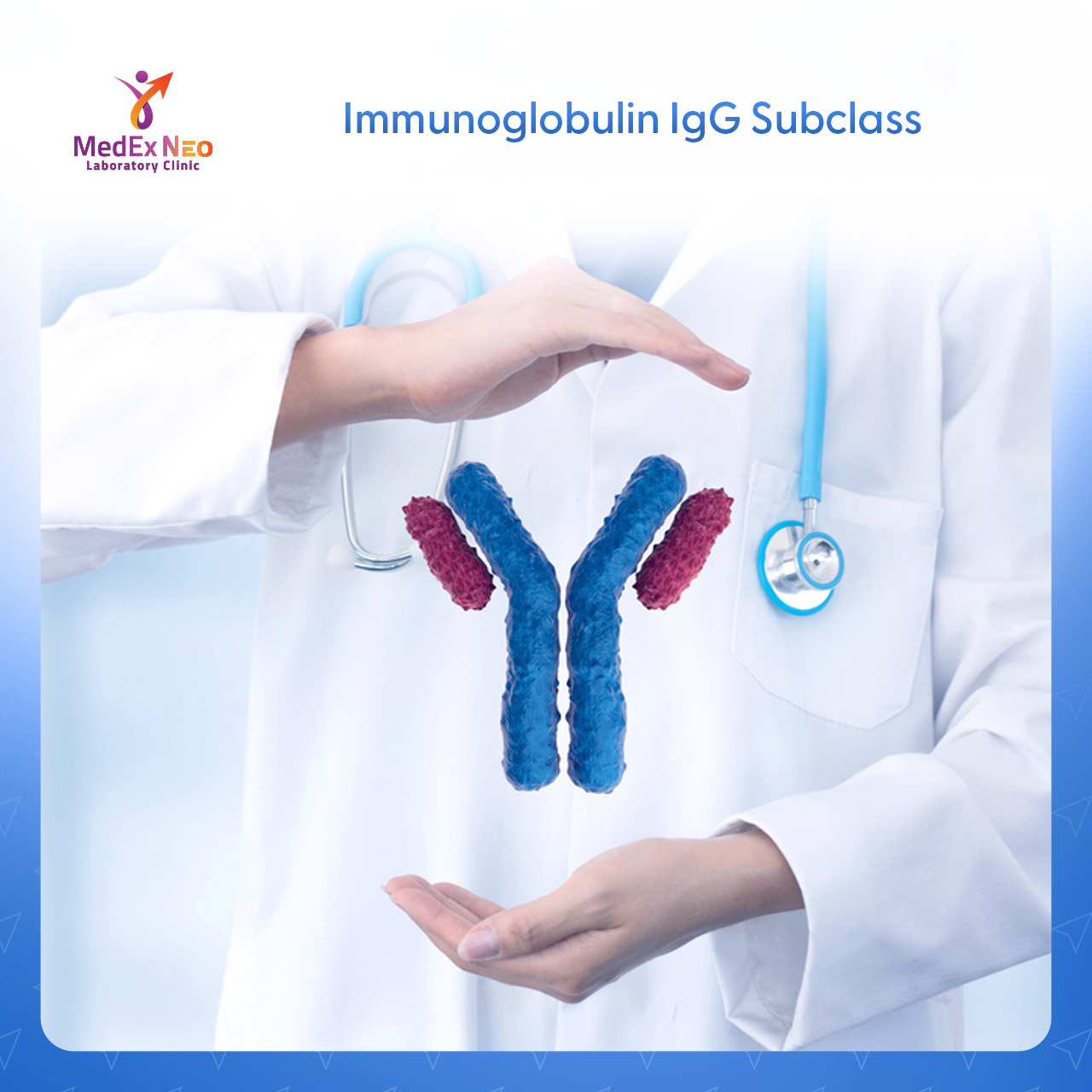 Immunoglobulin IgG Subclass - Medex